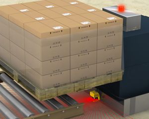 Pallet Transfer Safeguarding