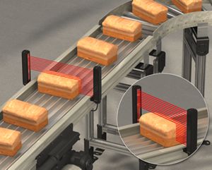 Measuring the Height of Baked Bread
