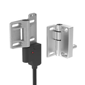 Interlock Switches Hinges