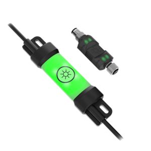 Illuminated Switches