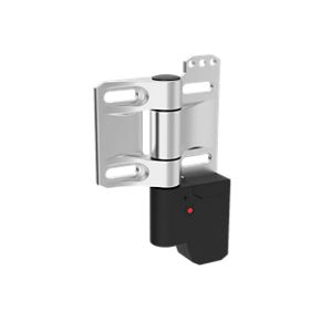 Interlock Switches Hinges